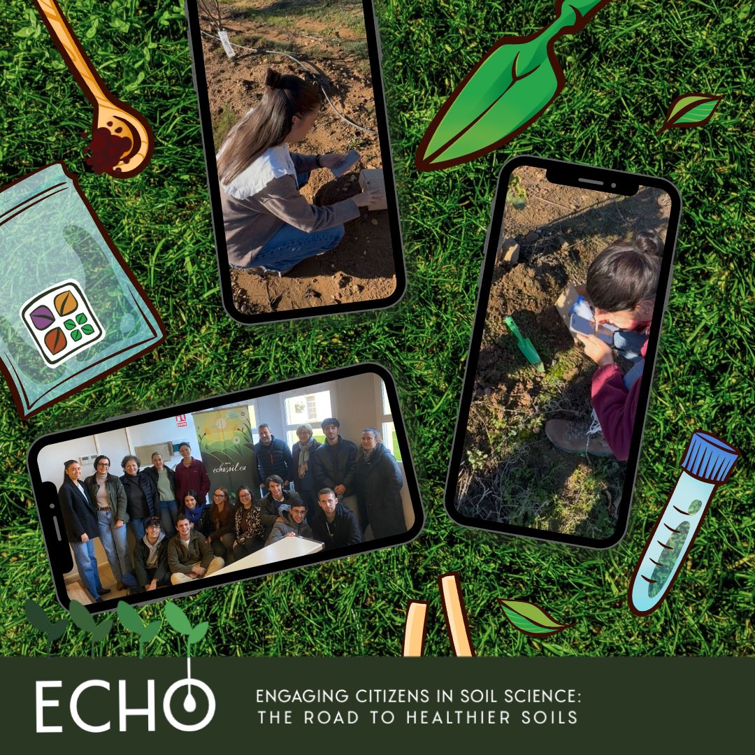 Echo Horizon - EchoSoil